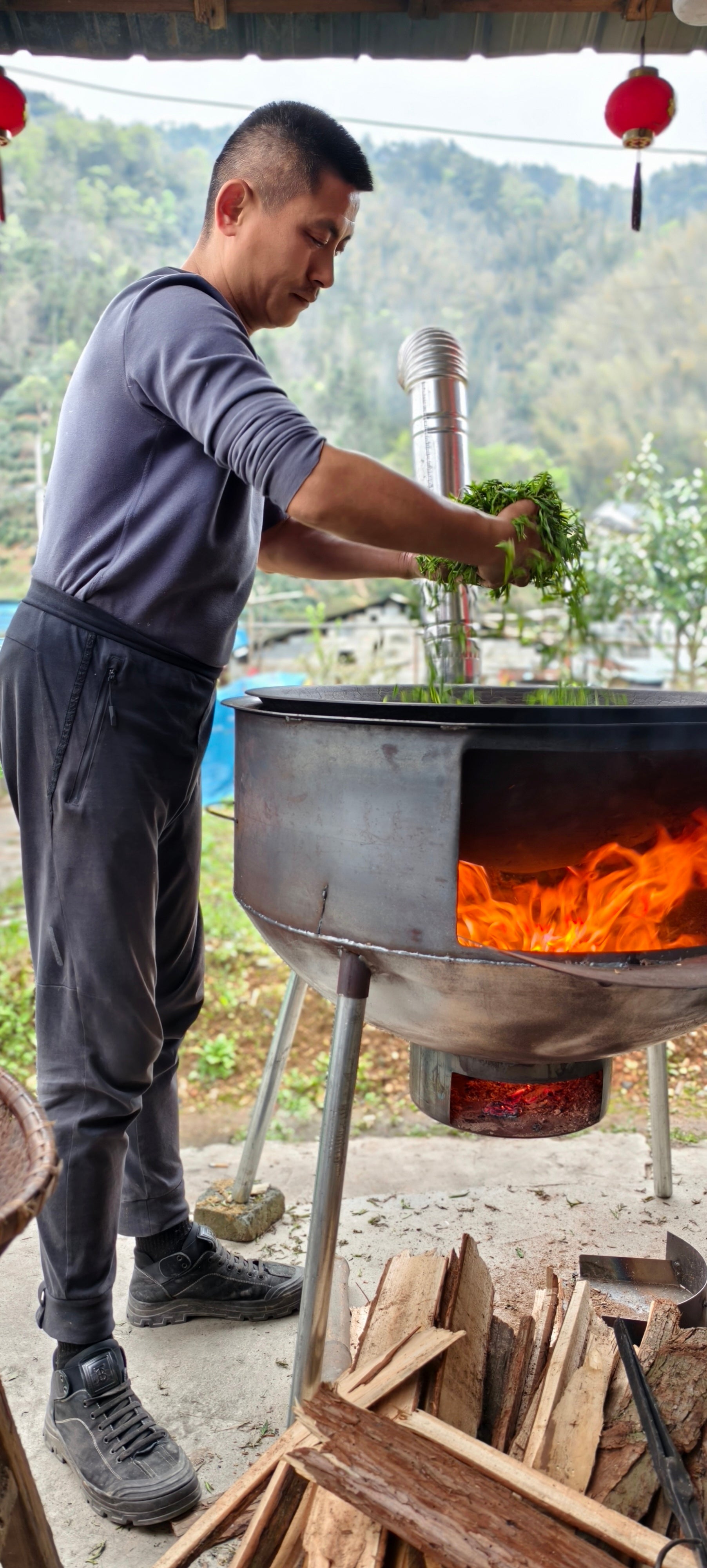 Huang Shan Teas – The Sweetest Dew