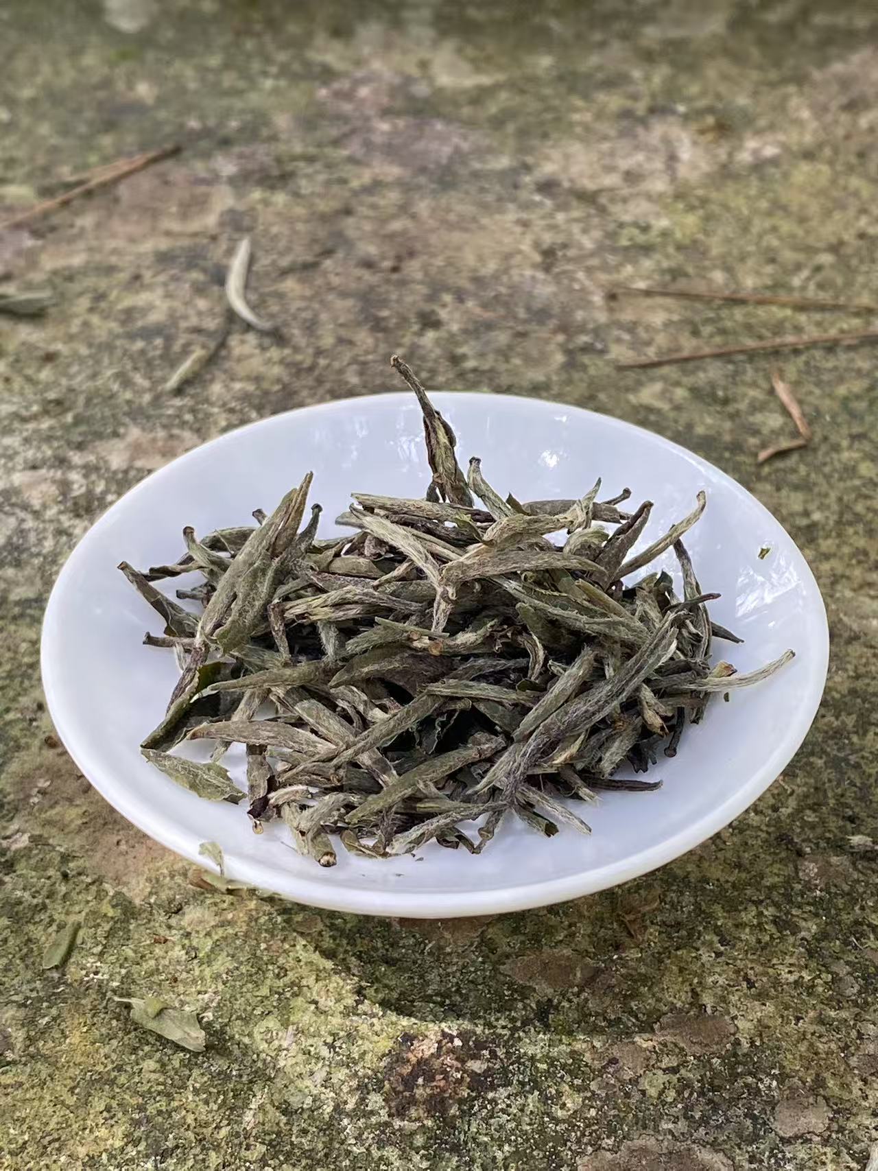 Jin Mu Dan/ Old Tree Blend – The Sweetest Dew